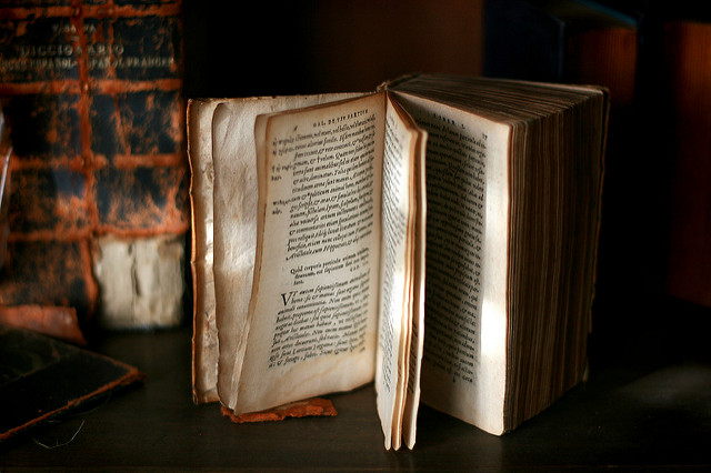 Ora Pro Nobis: \ō-rä-prō-ˈnō-bēs\ a Latin invocation meaning pray for ...